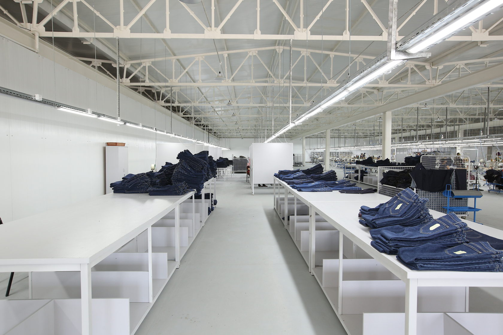 Orientation - Rumino & Jeans